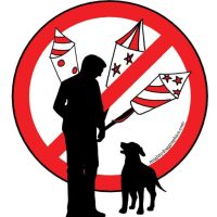 MP Letter Template 1 | The Firework Campaign UK