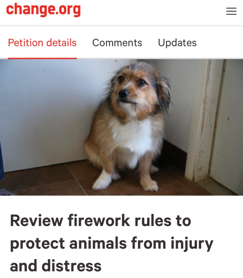 Petitions To Sign | The Firework Campaign UK