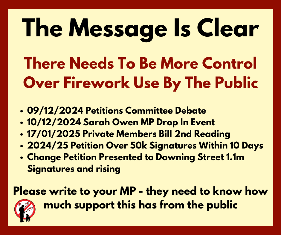 Why now is the perfect time to email your MP | The Firework Campaign UK