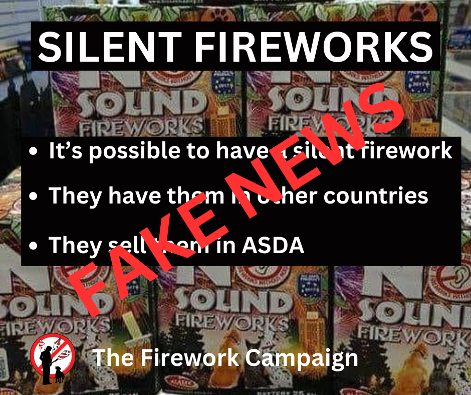 The Truth About SILENT FIREWORKS | The Firework Campaign UK