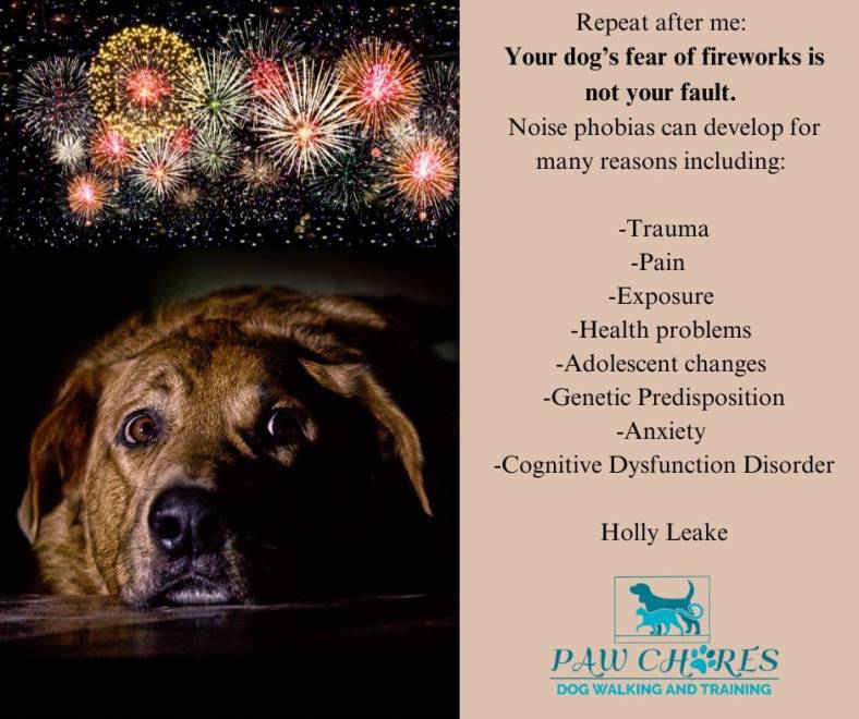 Your Dog’s Fear Of Fireworks Is Not Your Fault | The Firework Campaign UK
